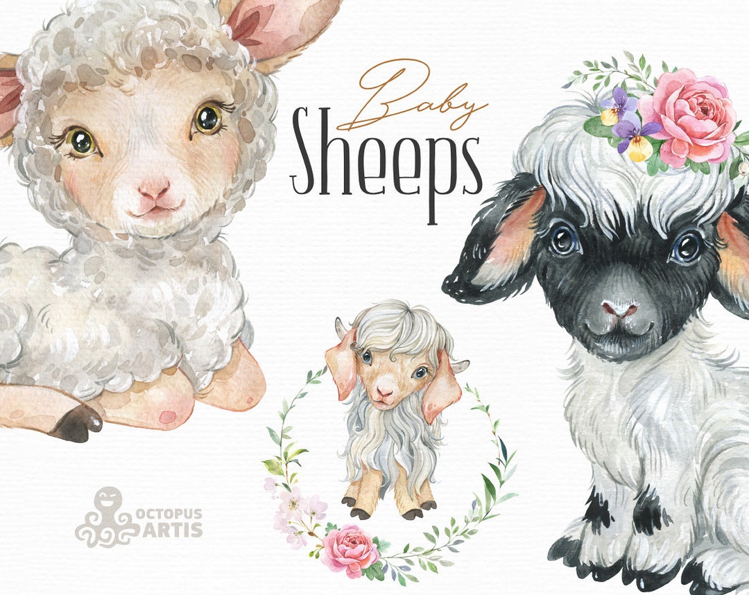 Baby Sheeps. Watercolor Little Animals and Floral Clipart, Spring ...