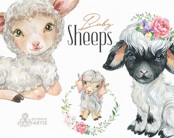Farm. Sheeps. Watercolor Country Clipart Little Lamb Floral - Etsy