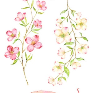 Flowering Elements. Watercolor Clipart, Flowers, Leaves, Branches ...