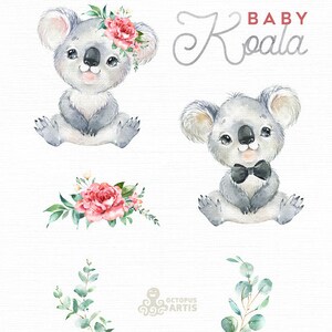 Baby Koala. Watercolor Little Animals Clipart Australia Portrait ...