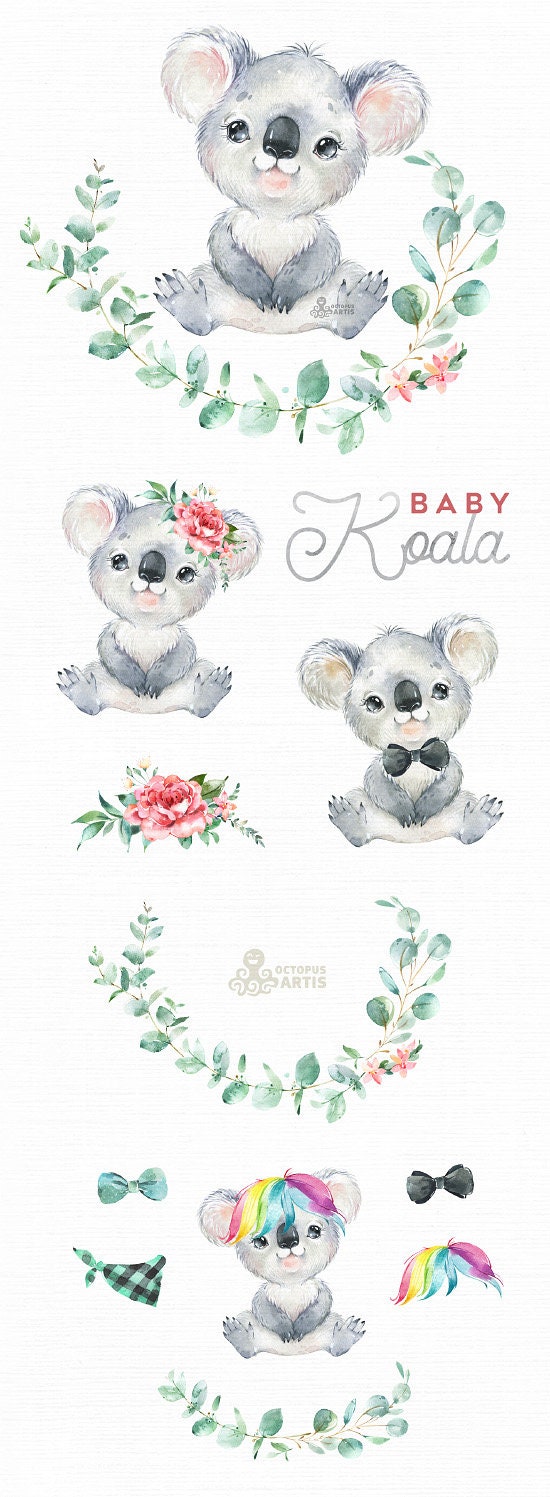 Baby Koala. Watercolor Little Animals Clipart Australia - Etsy