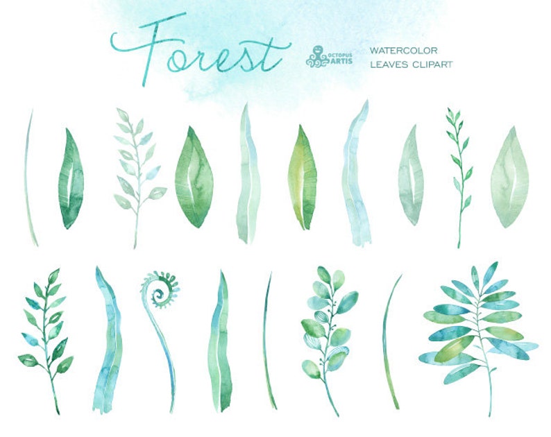Forest Watercolor Leaves. 18 Handpainted Clipart Foliage - Etsy
