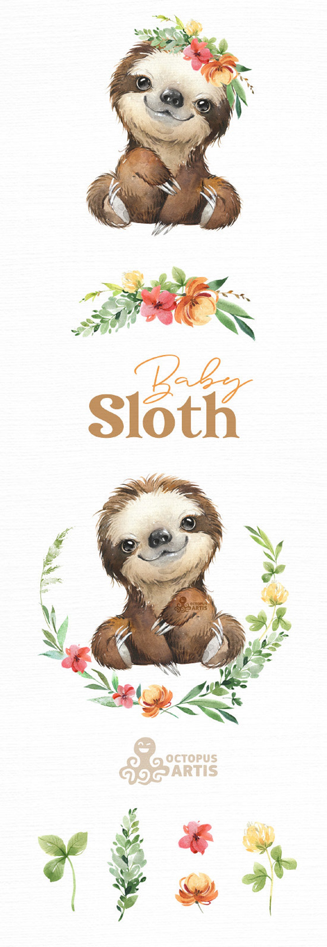 Baby Sloth. Watercolor Little Animals Clipart Portrait - Etsy