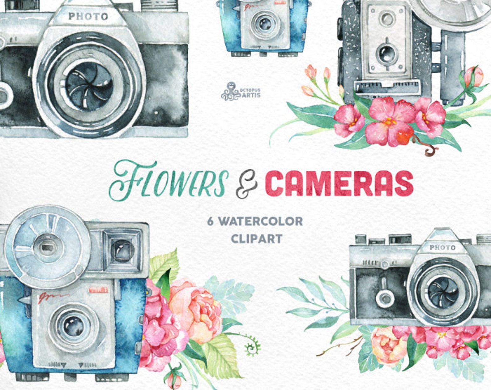 Flowers & Cameras. 6 Handpainted Clipart Invitation - Etsy