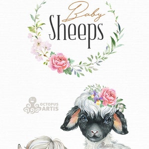 Baby Sheeps. Watercolor Little Animals and Floral Clipart, Spring ...