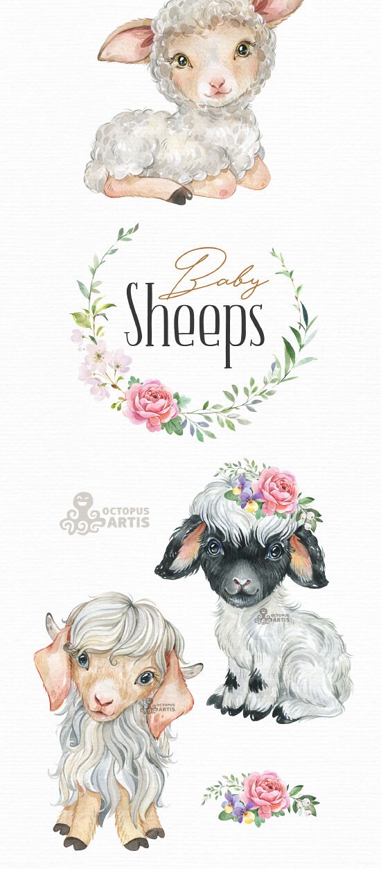 Baby Sheeps. Watercolor Little Animals and Floral Clipart - Etsy