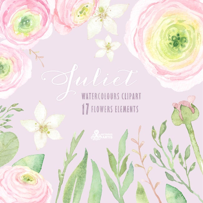 Juliet Watercolour Flowers Clipart. Handpainted Watercolor - Etsy