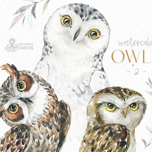 Owls. Watercolor Animals Clipart Woodland Birds Forest - Etsy