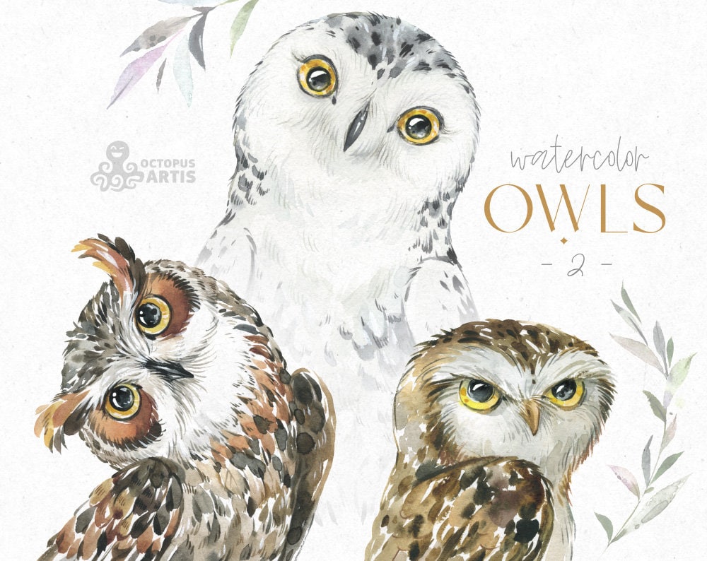 Owls 2. Watercolor Animals Clipart Woodland Birds Forest - Etsy