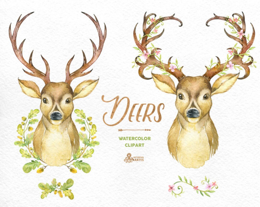 Deers. Watercolor Deers With Antlers, Hand Painted Clipart, Floral ...