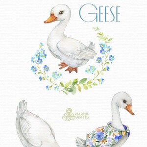 Geese Blue. Watercolor Animals and Floral Clipart, Goose, Spring ...