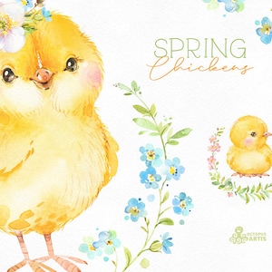 Spring Chickens. Watercolor Little Animals and Floral Clipart, Easter ...