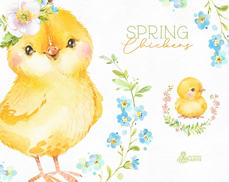 Spring Chickens. Watercolor Little Animals and Floral Clipart - Etsy UK