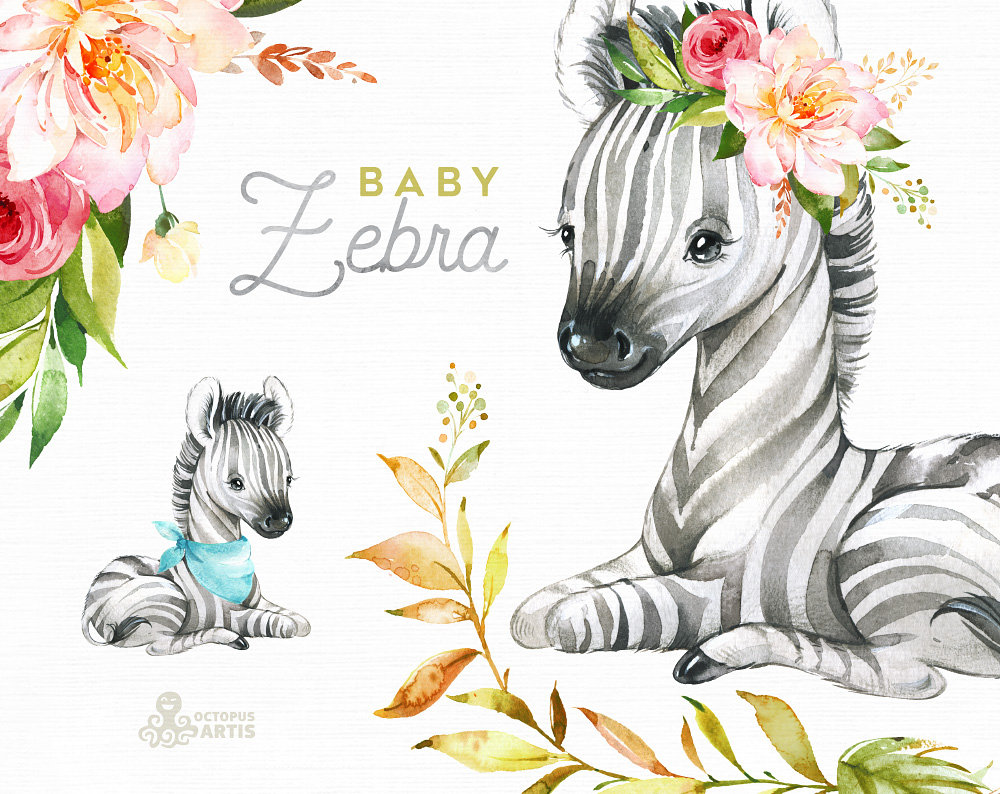 Baby Zebra. Watercolor Little Animal Clipart Babies Flowers - Etsy UK