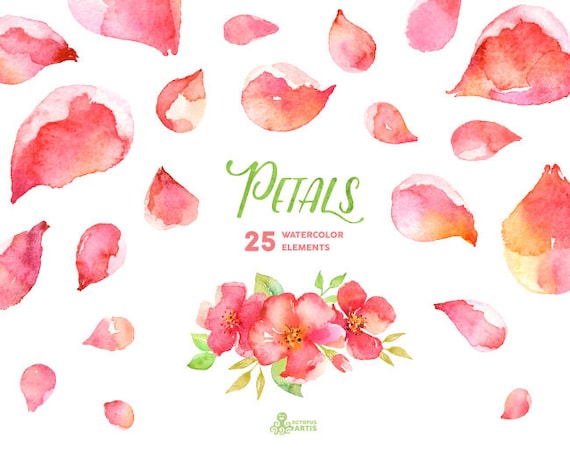 Petals 25 Watercolor Elements Bouquet Flowers. Handpainted - Etsy