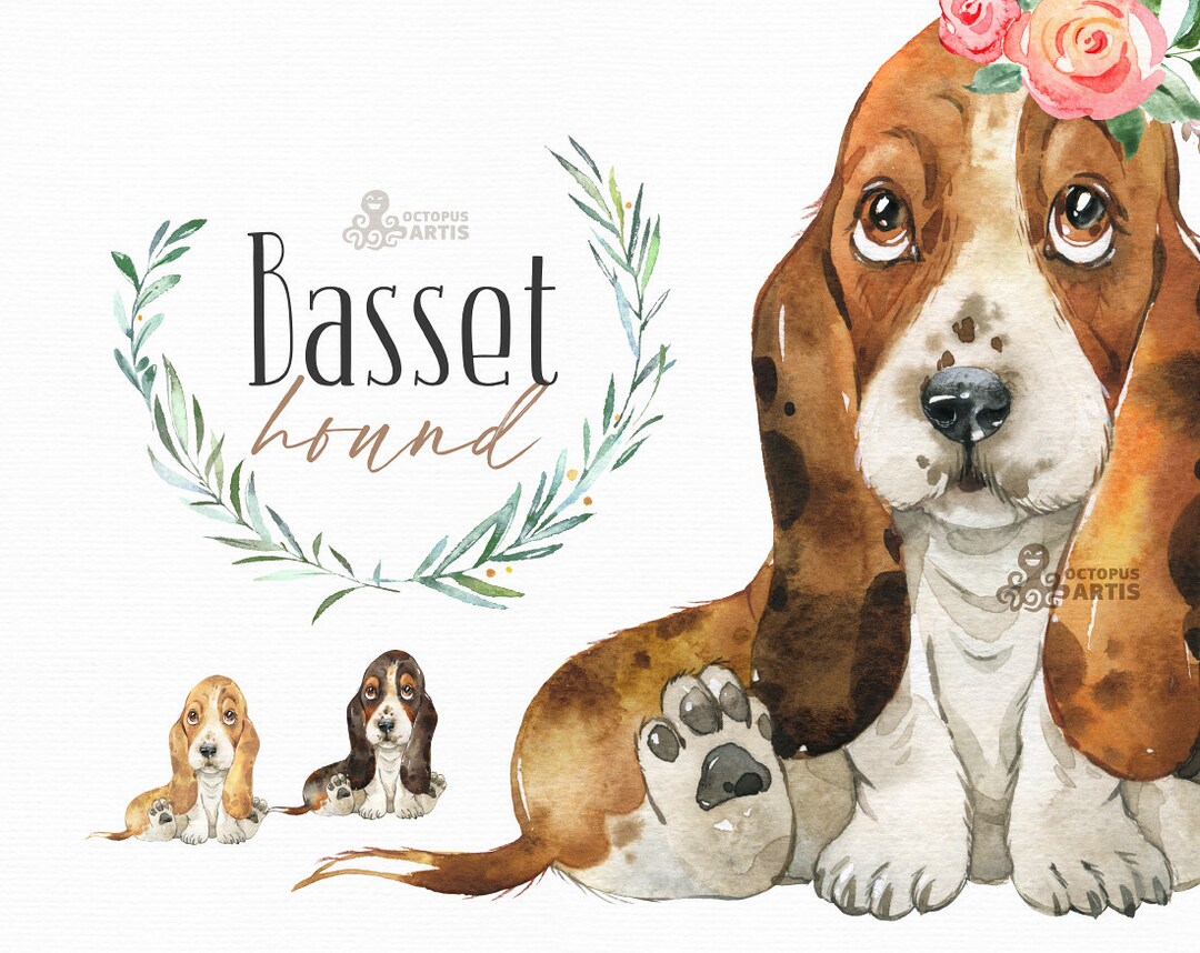 Basset Hound. Watercolor Little Animal Clipart, Portrait, Puppy, Doggie ...