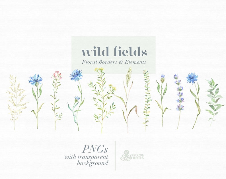 Wild Fields. Floral Borders & Elements. Watercolor Flowers - Etsy