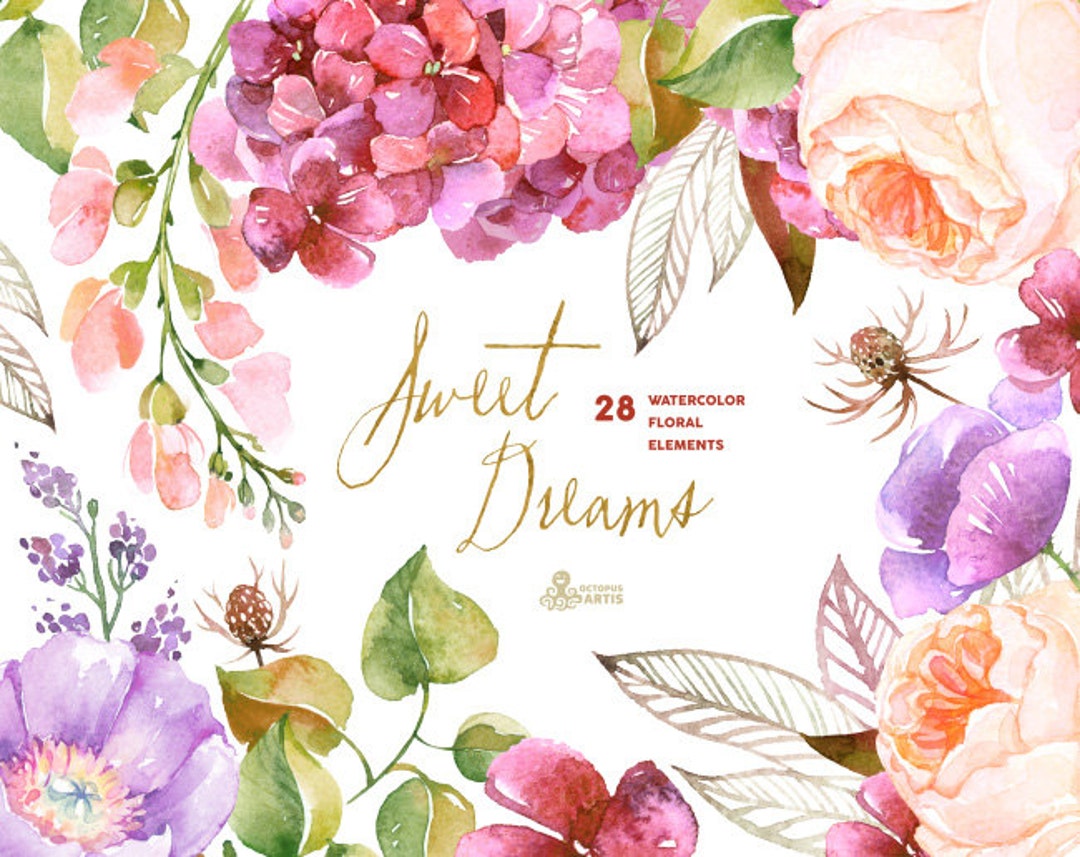 Sweet Dreams: 28 Watercolor Elements, Hydrangea, Roses, Poppy, Wedding ...