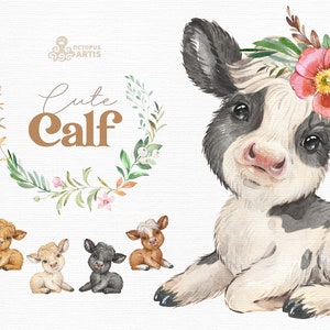 Cute Calf. Watercolor Little Animals Clipart, Cow, Baby, Country ...