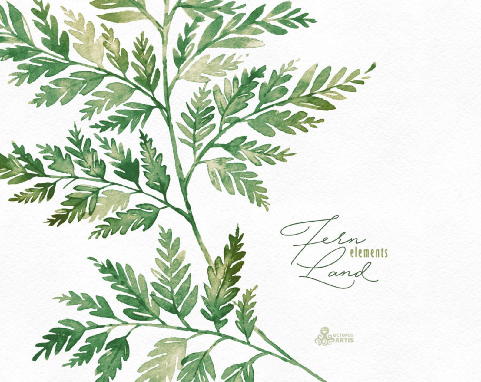 Fernland. Elements. Watercolor Floral Clipart Separate Ferns - Etsy