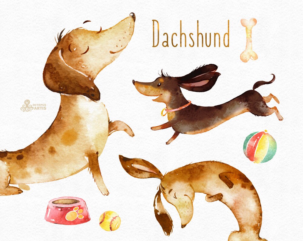Dachshund. Watercolor Dog Clipart Animal Pet Badger Dog - Etsy