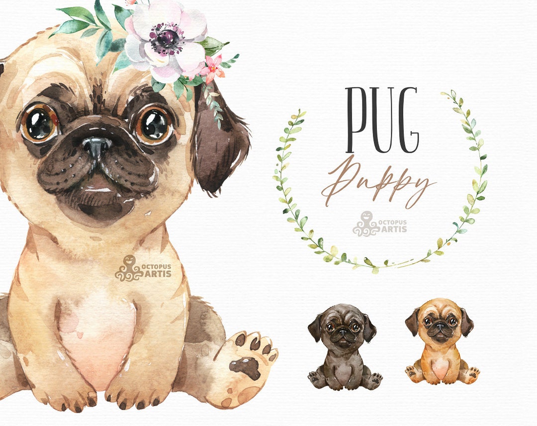 Pug. Watercolor Little Animal Clipart, Portrait, Puppy, Doggie, Baby ...