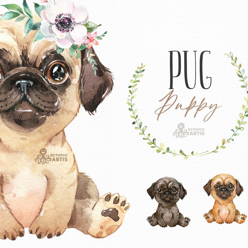 Pug Watercolor - Etsy