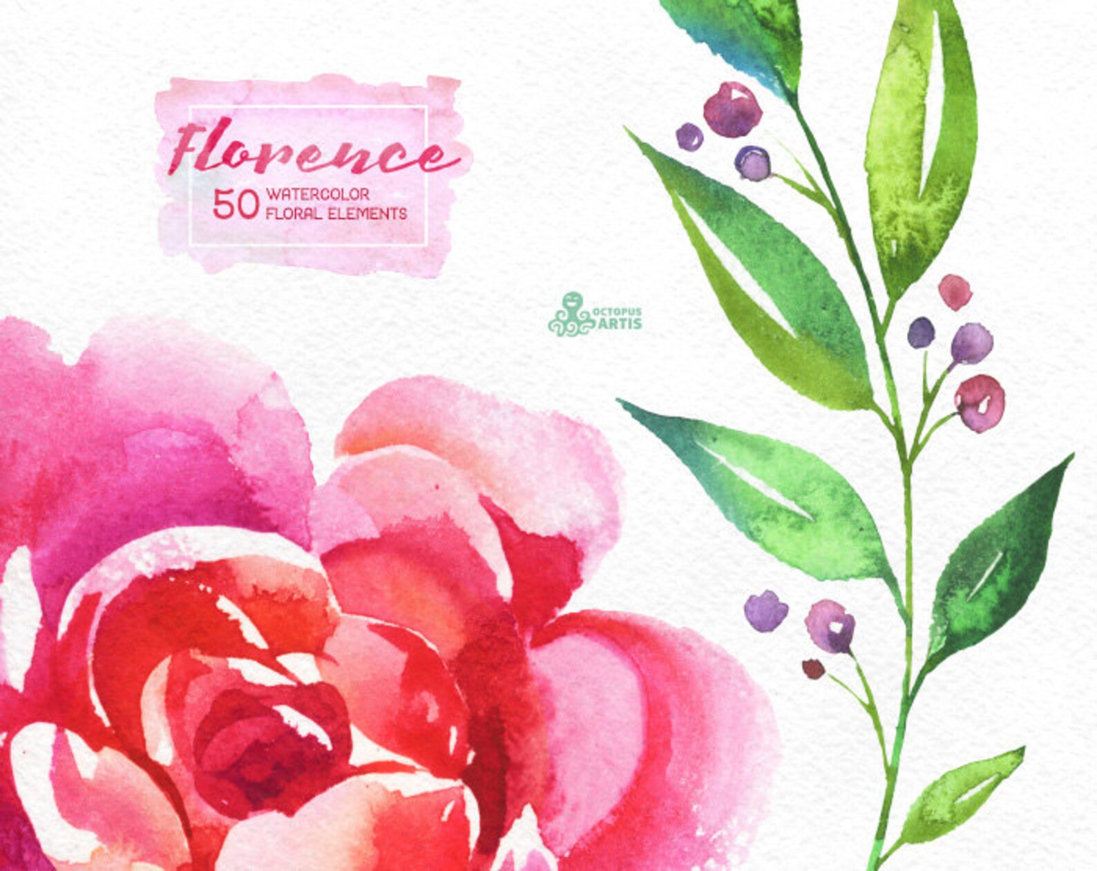 Florence. 50 Watercolor Floral Elements Hand Painted Clipart - Etsy