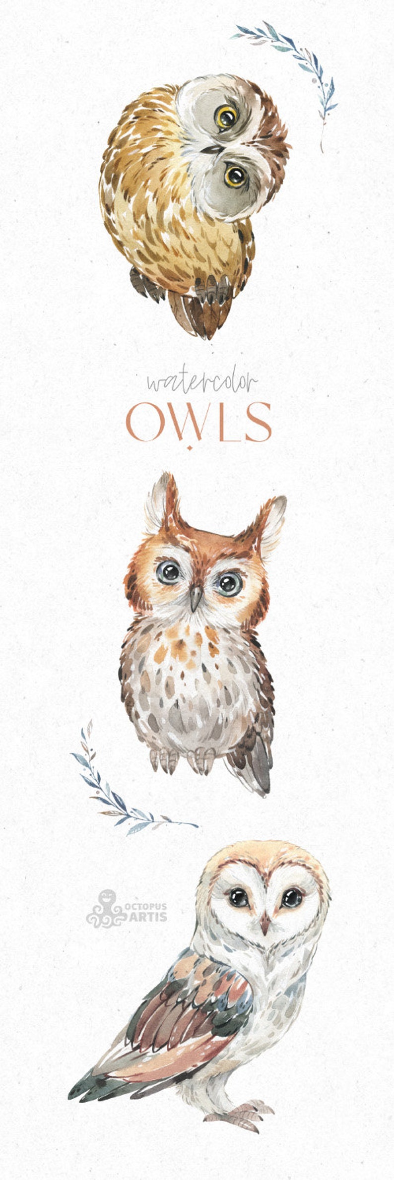 Owls. Watercolor Animals Clipart Woodland Birds Forest - Etsy