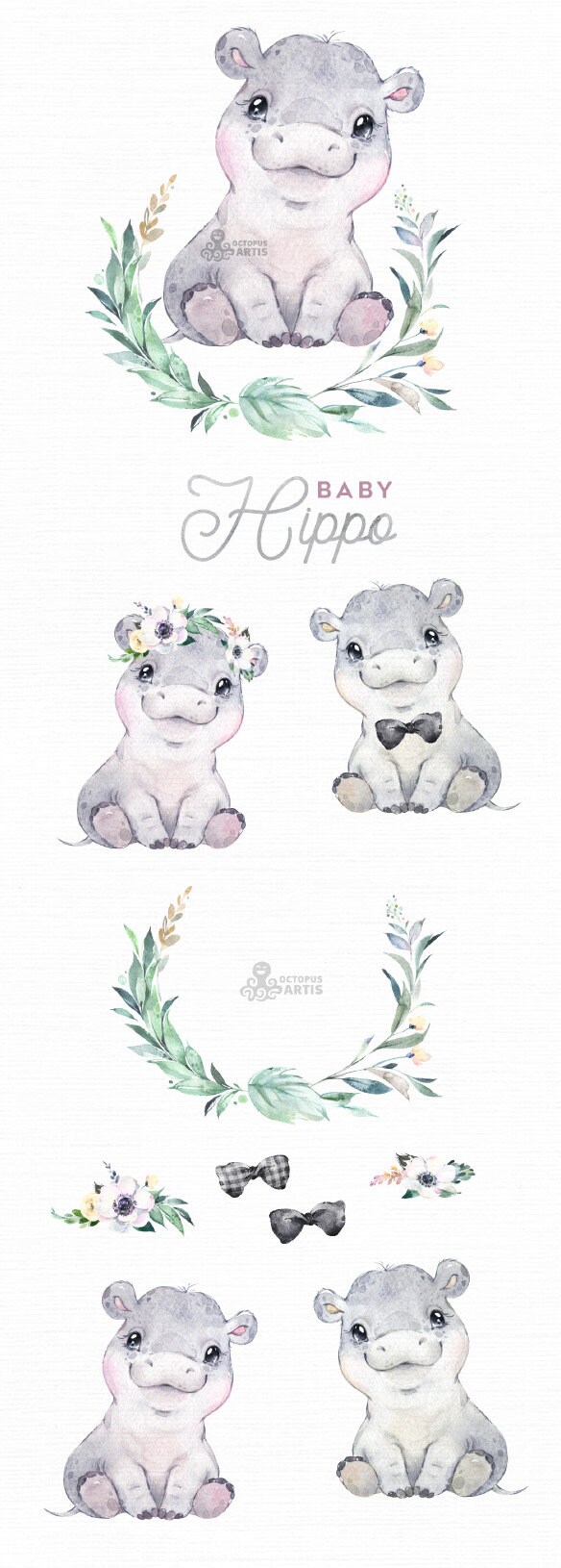 Baby Hippo. Watercolor Little Animal Clipart Babies Flowers - Etsy