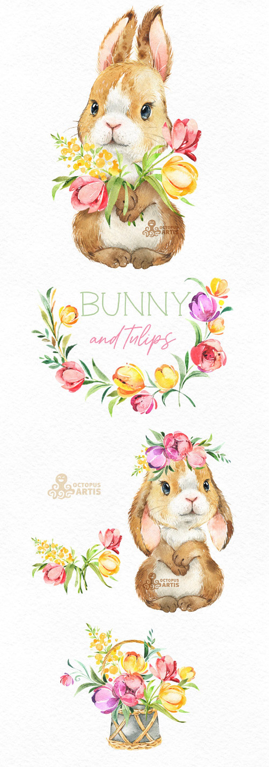 Bunny & Tulips. Watercolor Little Animals and Floral Clipart - Etsy