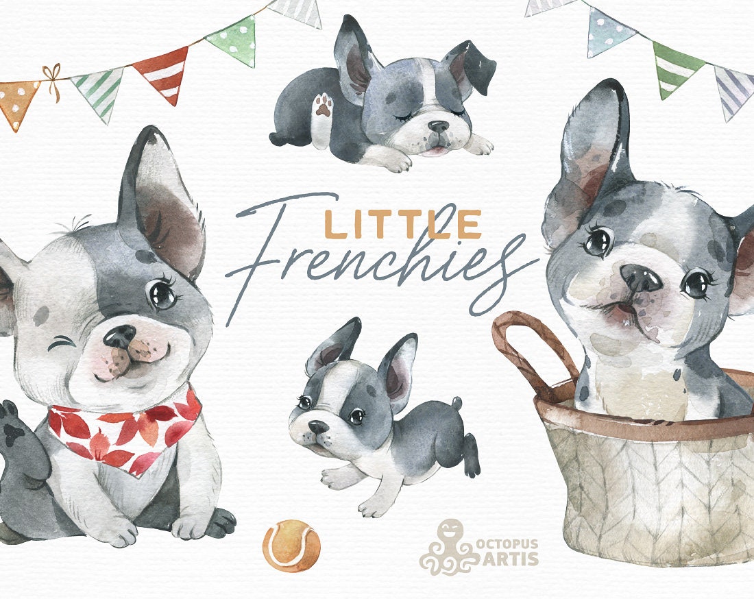 Little Frenchies. Watercolor Little Animal Clipart French - Etsy