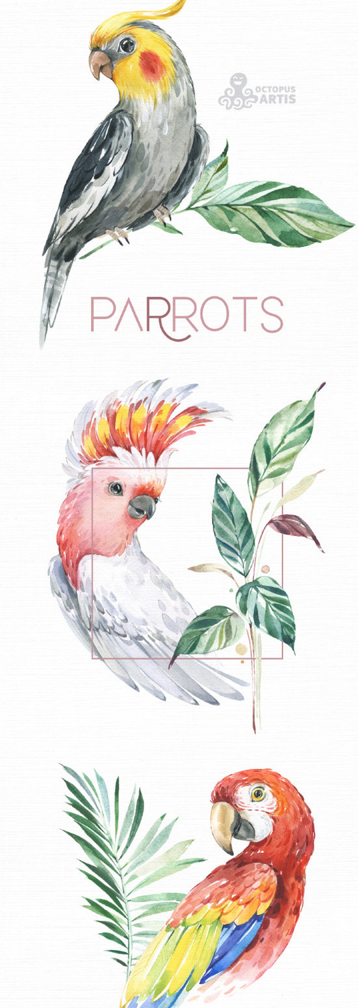 Parrots. Watercolor Birds Clipart Tropical Leaves Floral - Etsy