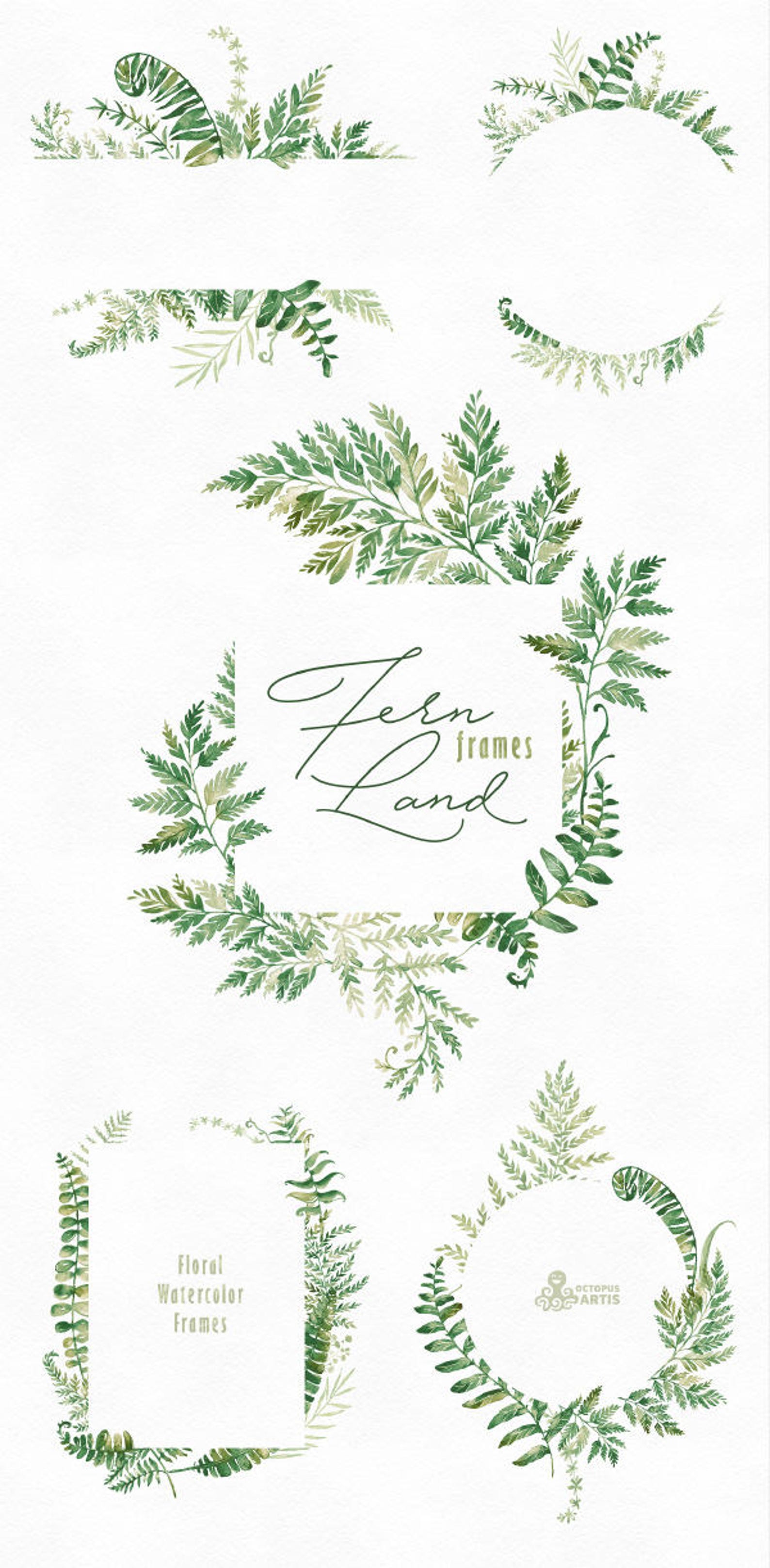Fernland. Frames. Watercolor Floral Clipart Ferns Leaves - Etsy