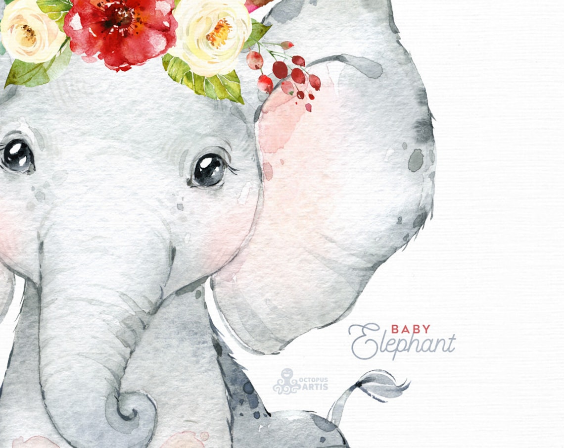 Baby Elephant. Watercolor Little Animal Clipart Babies - Etsy