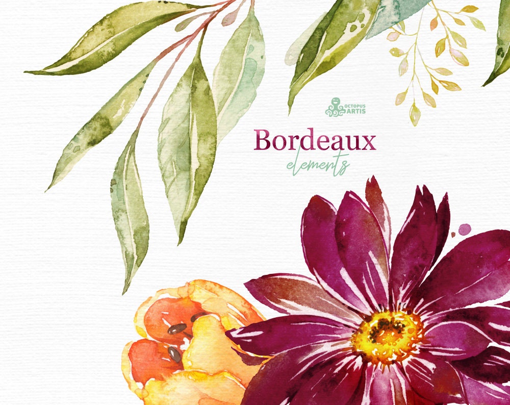 Bordeaux Elements Watercolor Floral Clipart Burgundy - Etsy UK