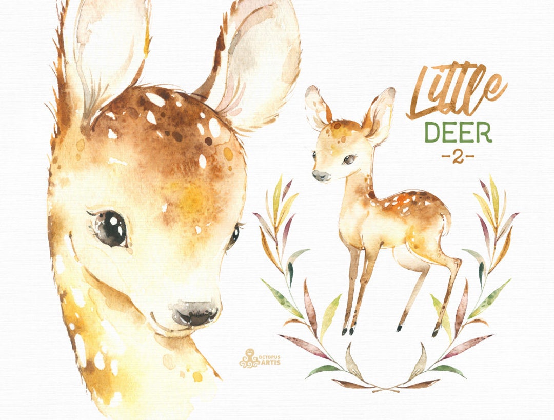 Little Deer 2. Watercolor Animal Clipart, Floral Wreath, Roe, Fawn ...