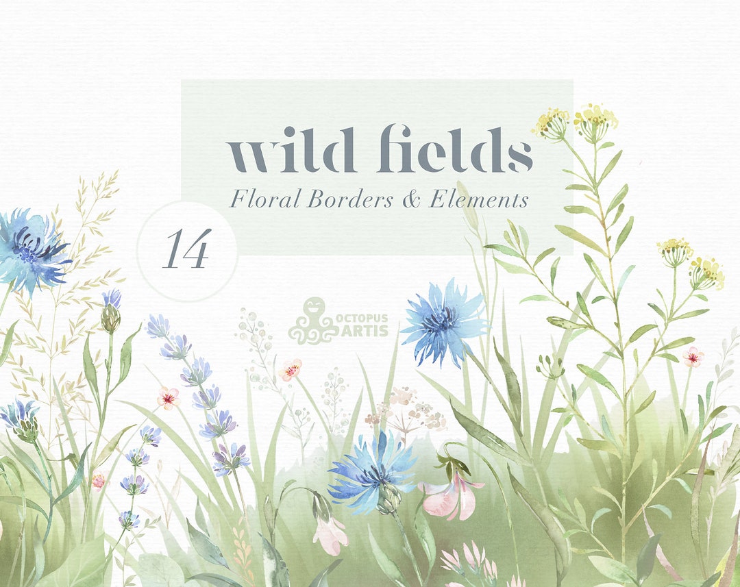 Wild Fields. Floral Borders & Elements. Watercolor Flowers Clipart ...