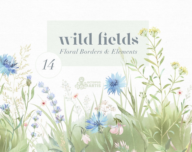 Wild Fields. Floral Borders & Elements. Watercolor Flowers - Etsy
