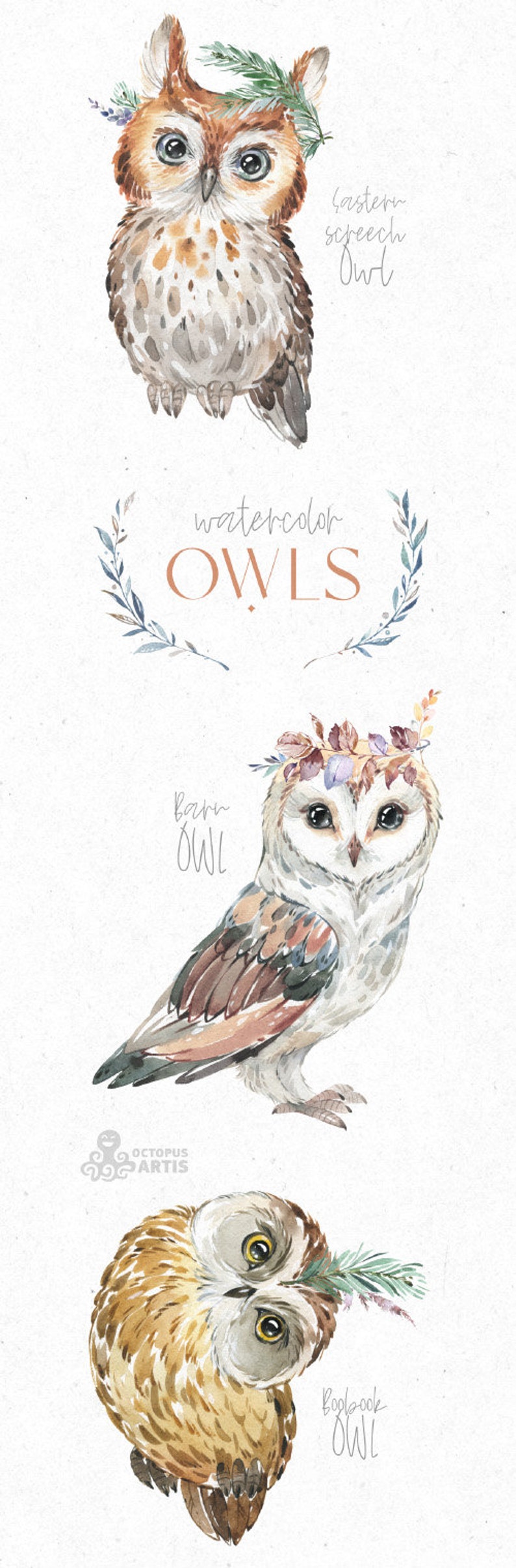 Owls. Watercolor Animals Clipart Woodland Birds Forest - Etsy