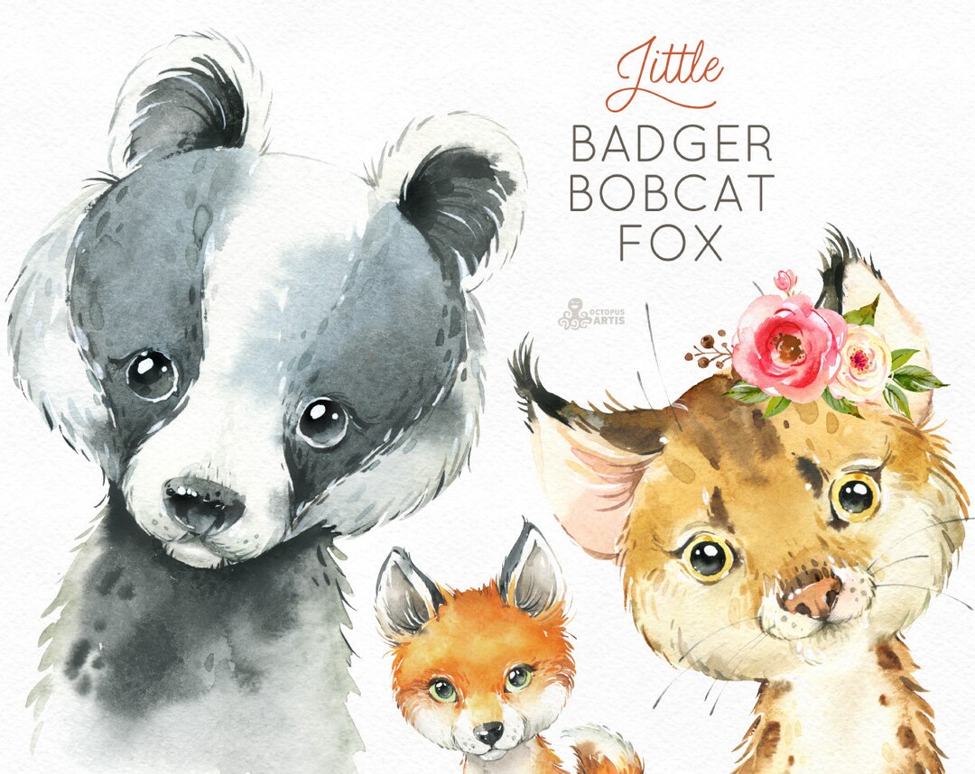 Little Badger Bobcat Fox. Watercolor Animals Clipart, Lynx, Woodland ...