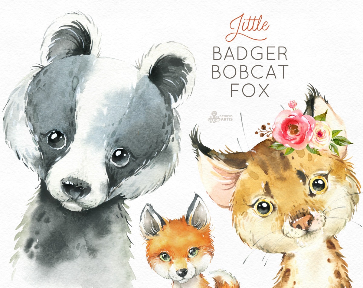 Little Badger Bobcat Fox. Watercolor Animals Clipart Lynx - Etsy
