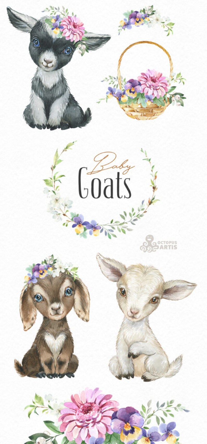 Baby Goats. Watercolor Little Animals and Floral Clipart - Etsy
