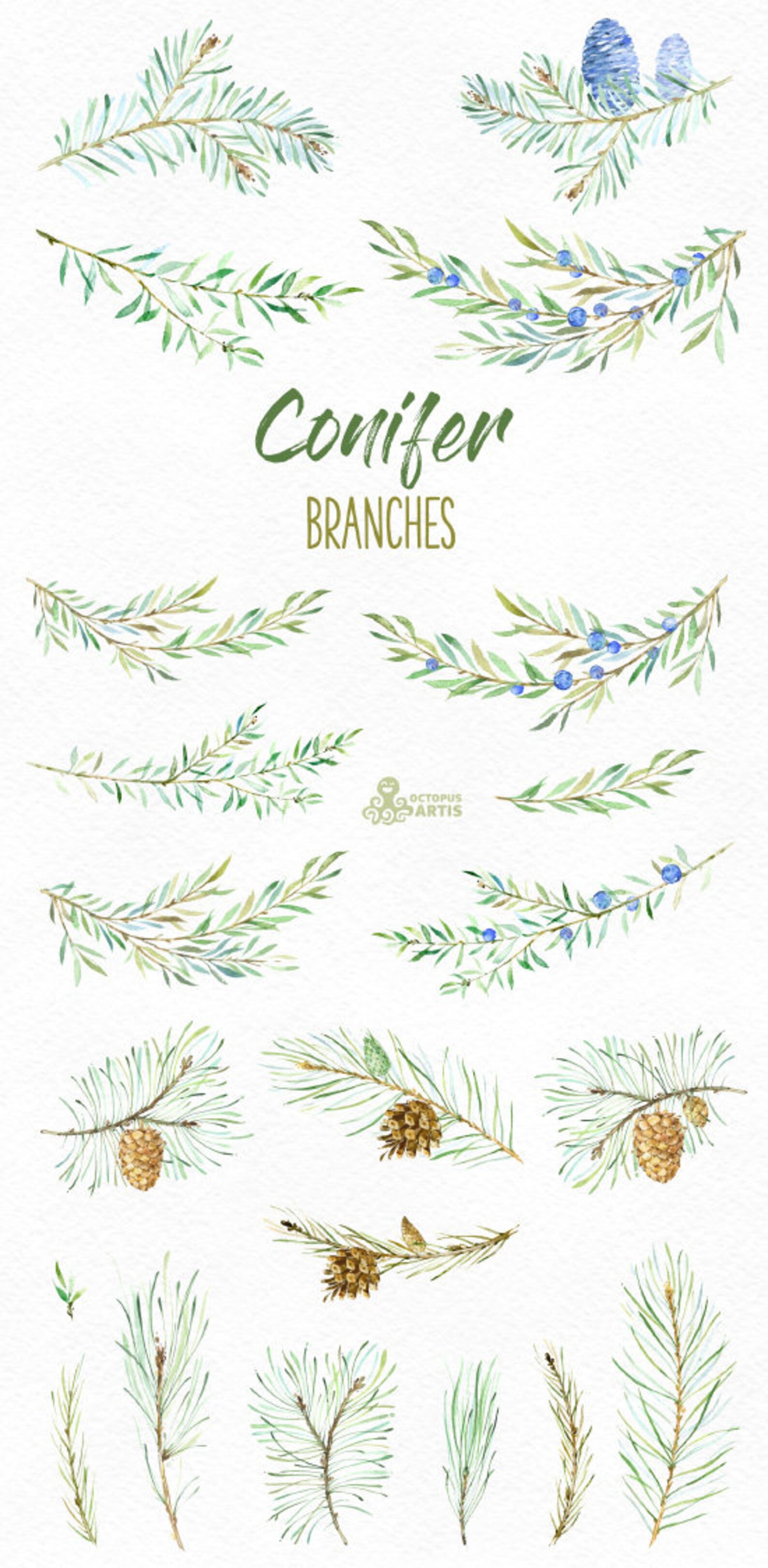 Conifer Branches. Watercolor Floral Clipart Christmas Pines | Etsy