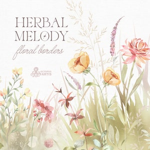Herbal Melody. Floral Borders. Watercolor Flowers Clipart, Wildflowers ...