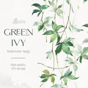 Green Ivy. Watercolor Image, Botanical, Florals, Jpg, Decor, Art ...