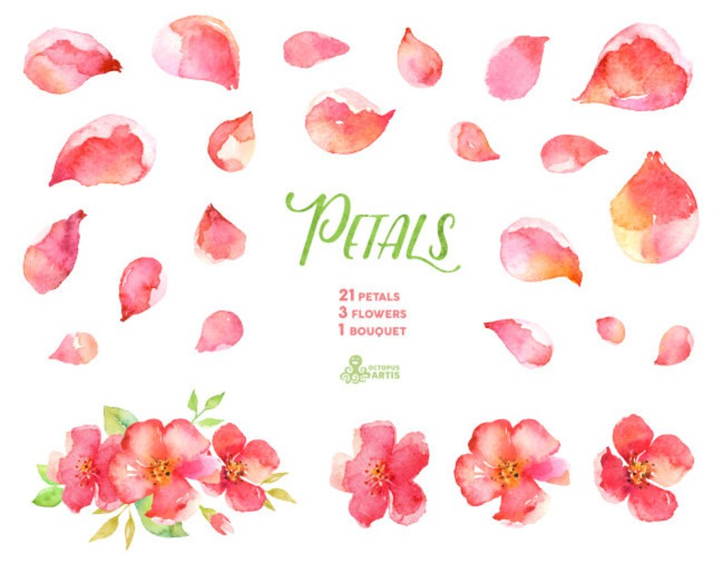 Petals 25 Watercolor Elements Bouquet Flowers. Handpainted - Etsy