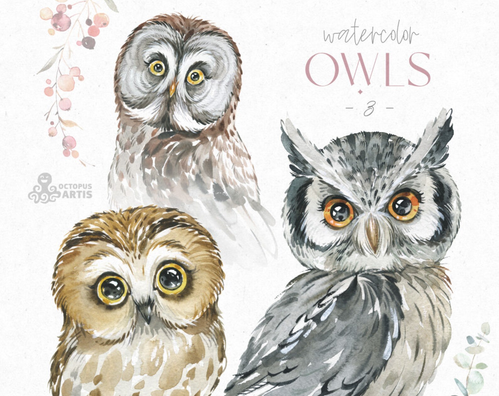 Owls 3. Watercolor Animals Clipart Woodland Birds Forest - Etsy