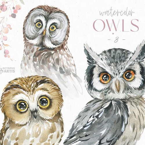Owls. Watercolor Animals Clipart Woodland Birds Forest - Etsy