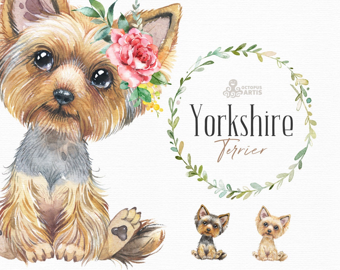 Yorkshire Terrier. Watercolor Little Pet Clipart Yorkie - Etsy